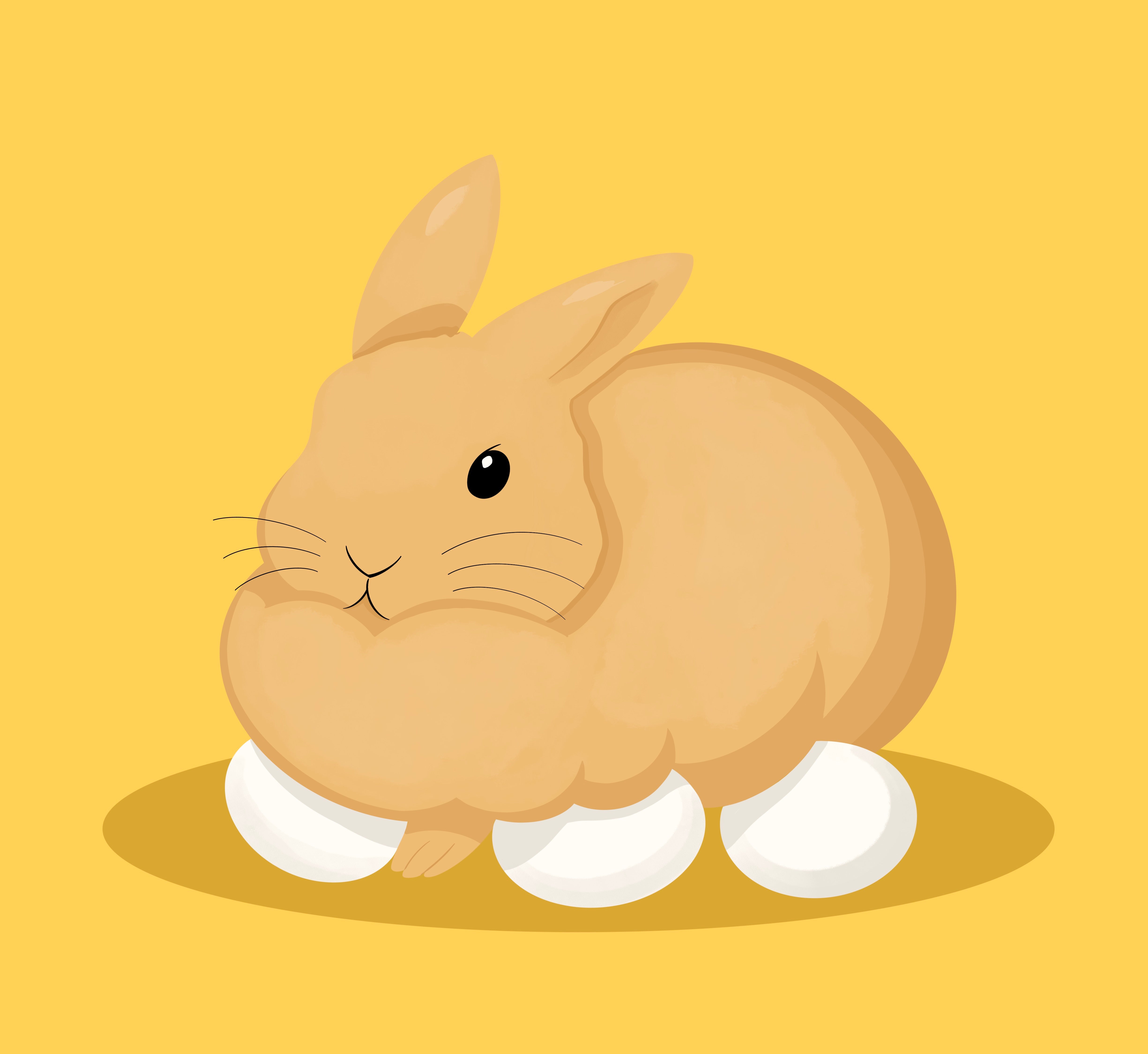 SonaBun Art – JJRabbitHouse