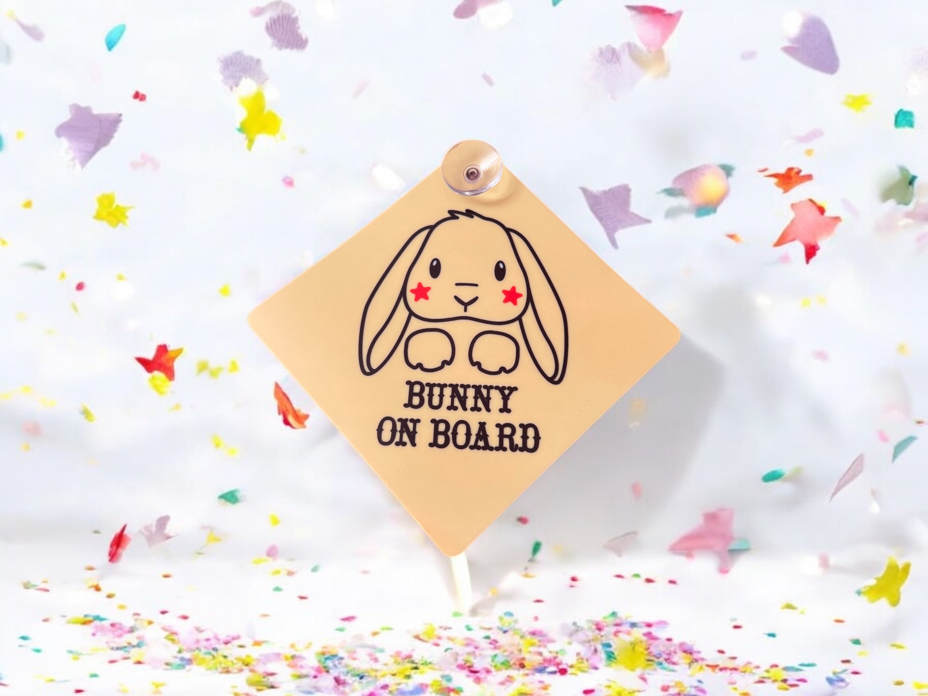 Car Signs – JJRabbitHouse